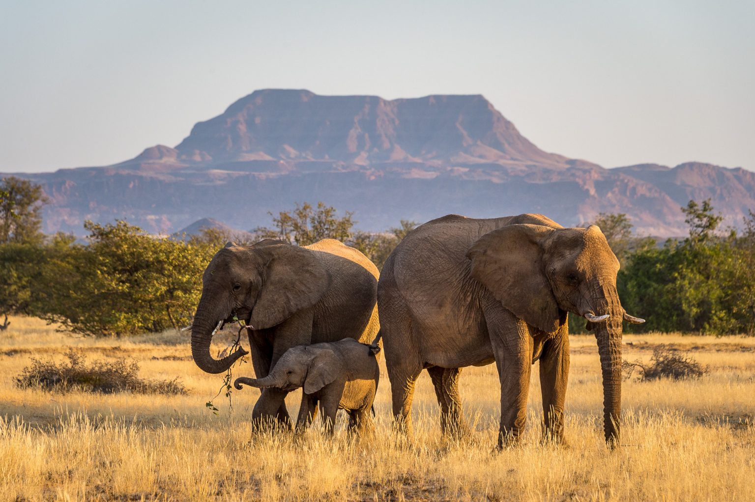 Enchanting Namibian Safari Tour - Travel Experience