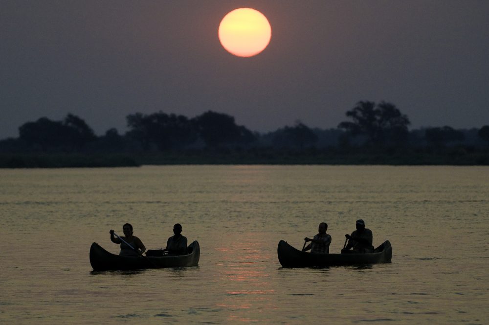 Classic Safari Adventure in Zimbabwe - Travel Experience